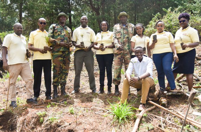 KWFT – Kenya Women Microfinance Bank PLC